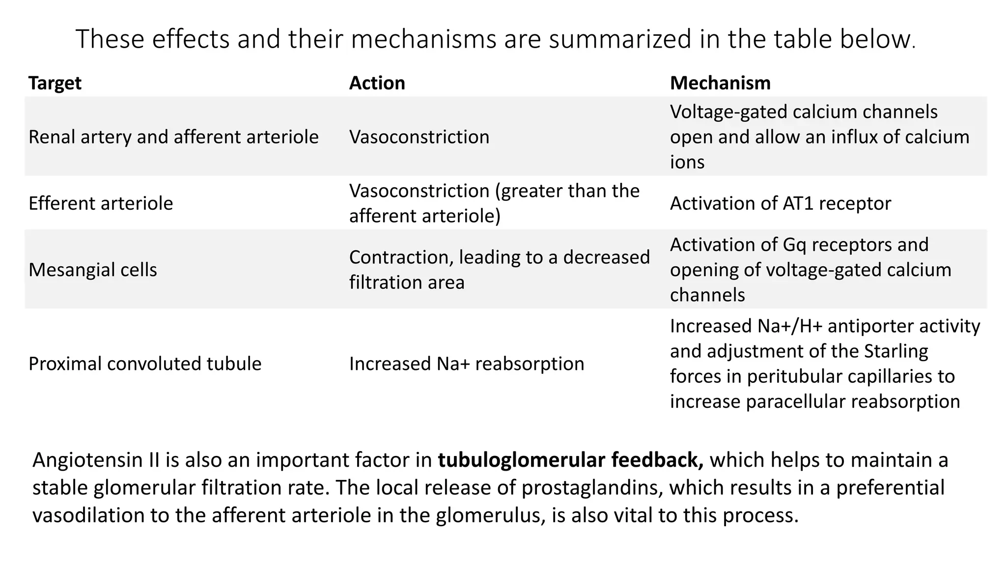 Renin-Angiotensin Aldeaterone System RAAS | PPTX
