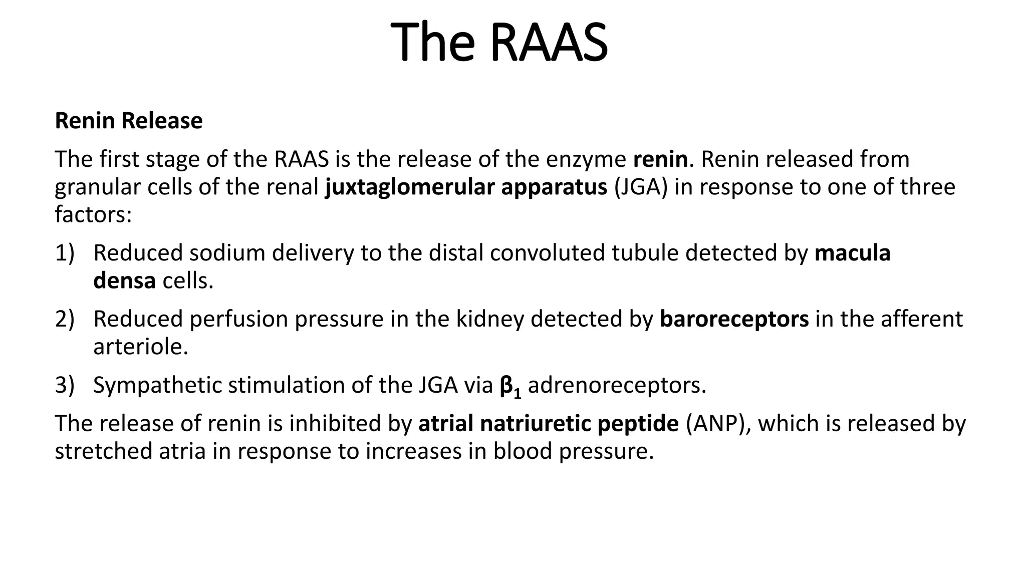 Renin-Angiotensin Aldeaterone System RAAS | PPTX