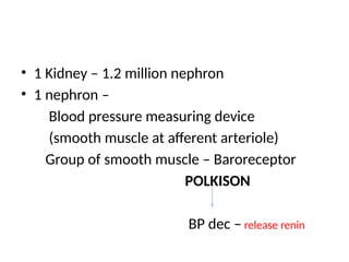 RAAS.pptx,RENIN ANGIOTENSIN ALDOSTERONE SYSTEM | PPTX