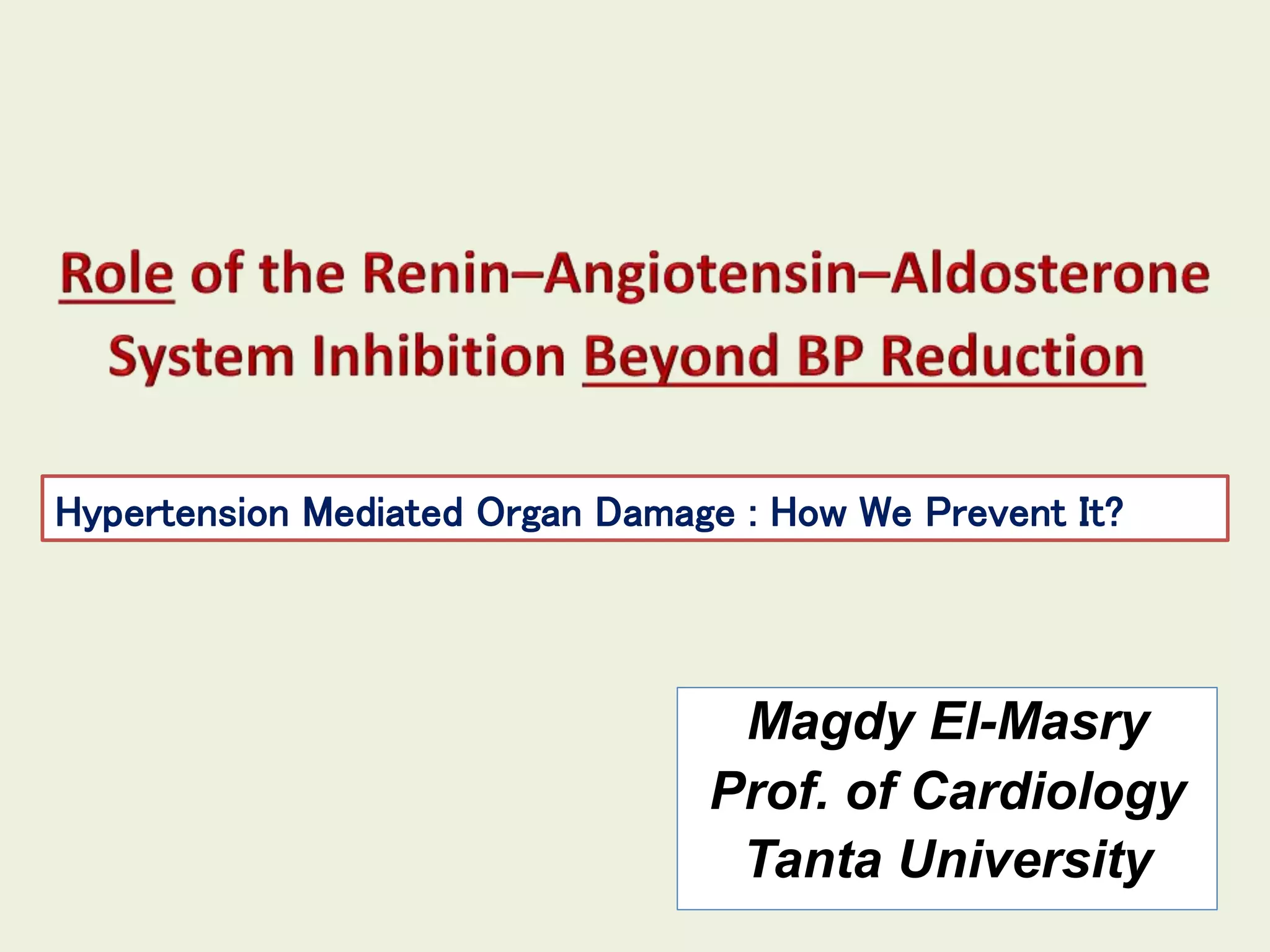 Role of the Renin–Angiotensin–Aldosterone System Inhibition Beyond BP ...