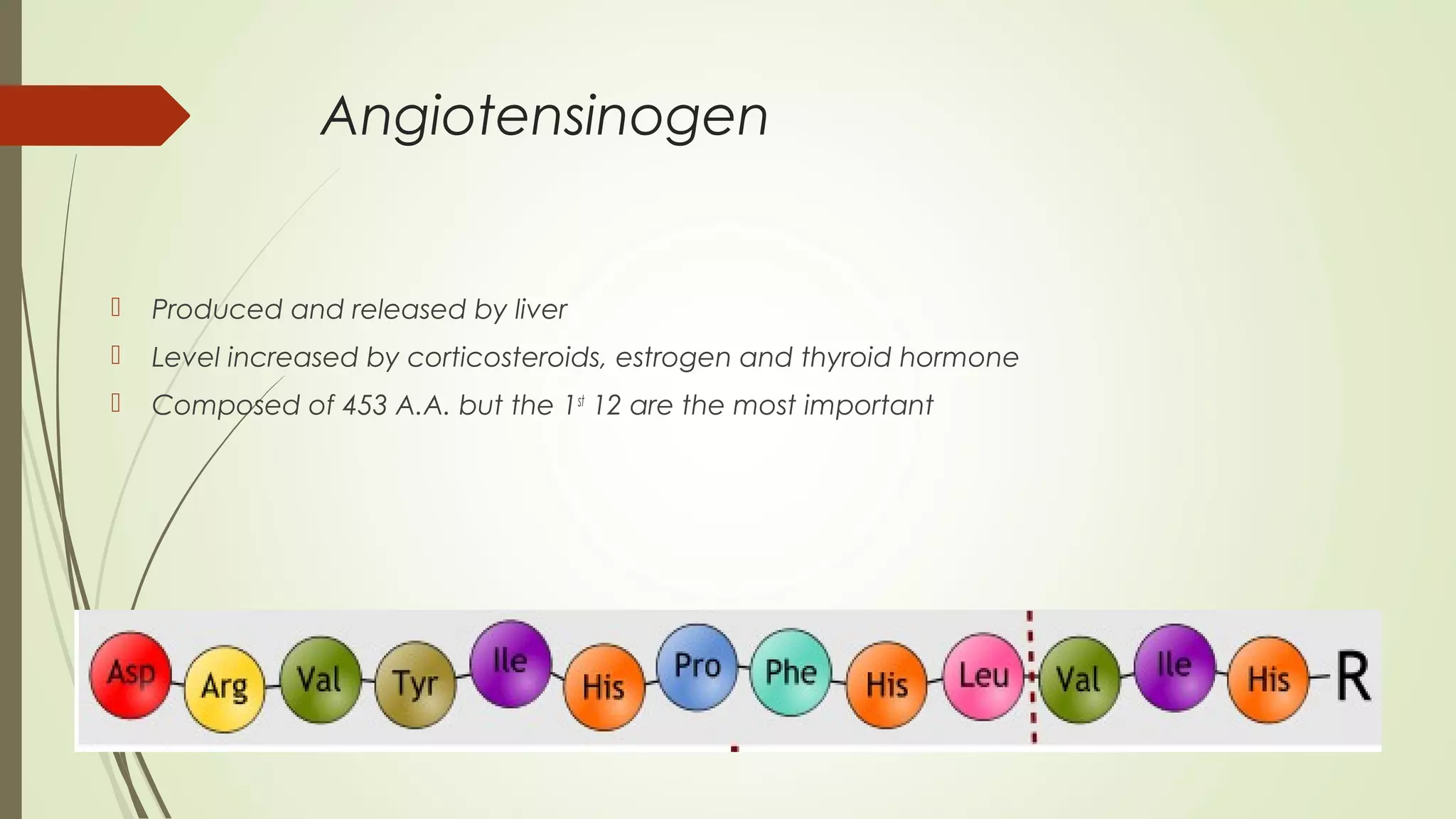 The Renin Angiotensin Andosterone System | PPT
