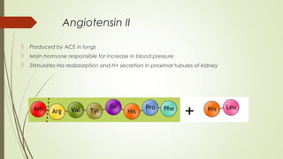 The Renin Angiotensin Andosterone System | PPT