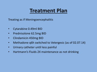 Meningiomyelitis | PPTX