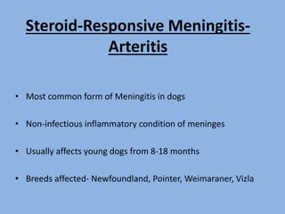 Meningiomyelitis | PPTX | Brain and Nervous System Disorders | Diseases ...