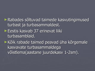 Rabataimi | PPT
