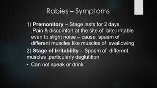 RABBIES CONTEMPORARY AND CLASSICAL OVERVIEW | PDF