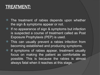 Comprehensive Overview of Rabies: Symptoms, Transmission, and Treatment ...