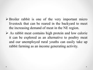 Rabbir farming | PPT