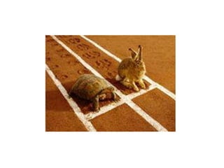 Rabbit and tortoise | PPT