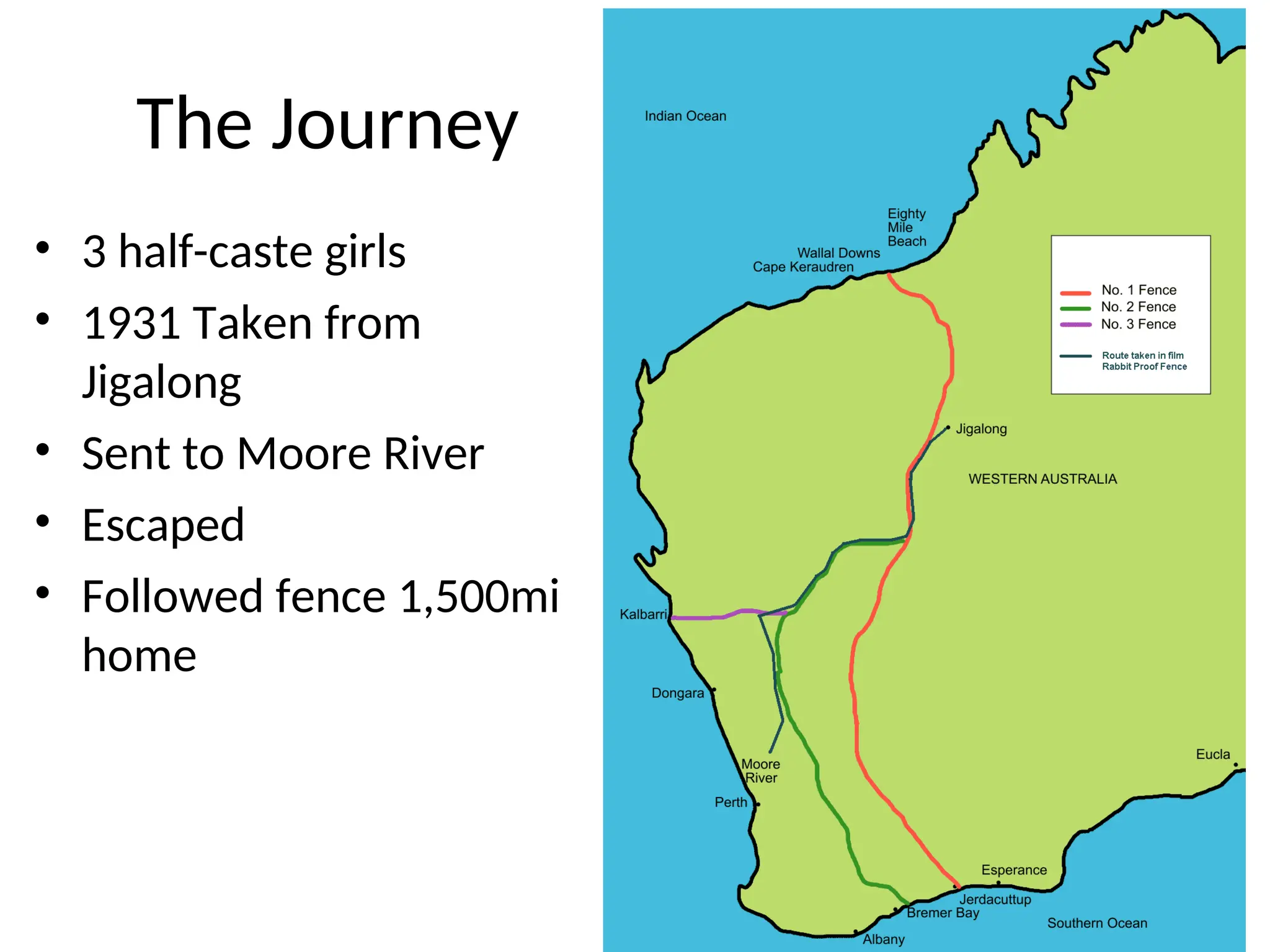 Follow the rabbit-proof-fence. power point presentation | PPT