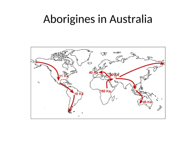 Follow the rabbit-proof-fence. power point presentation | PPT