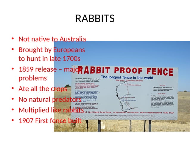Follow the rabbit-proof-fence. power point presentation | PPT
