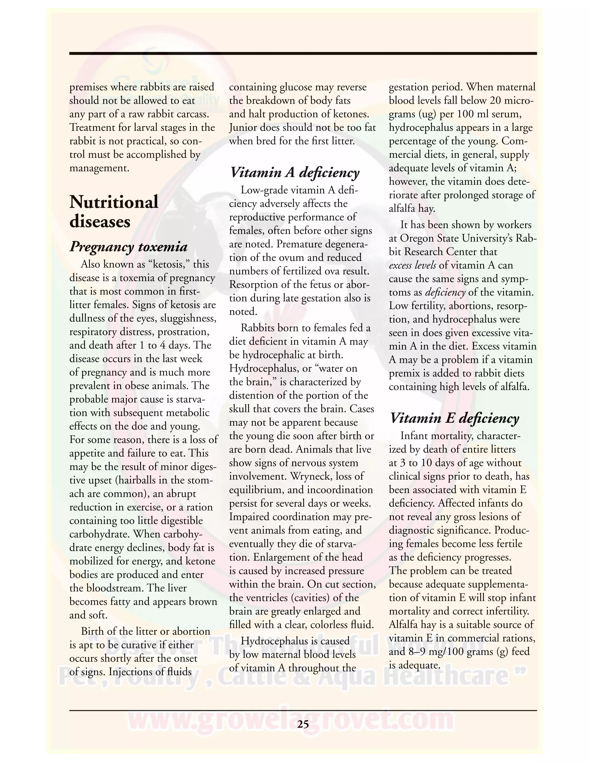 Rabbit Diseases & Parasites | PDF