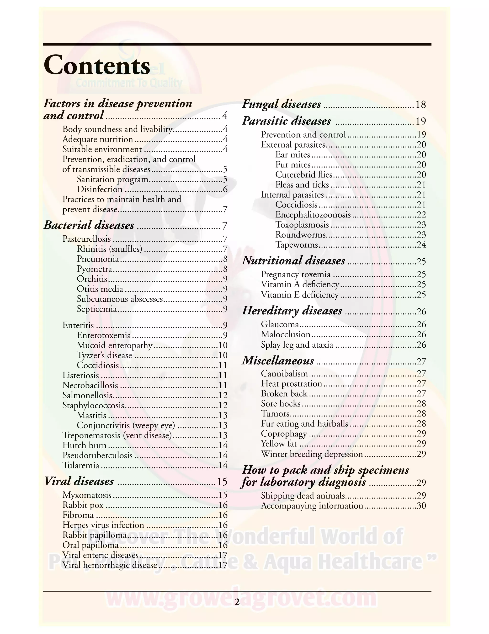 Rabbit Diseases & Parasites | PDF