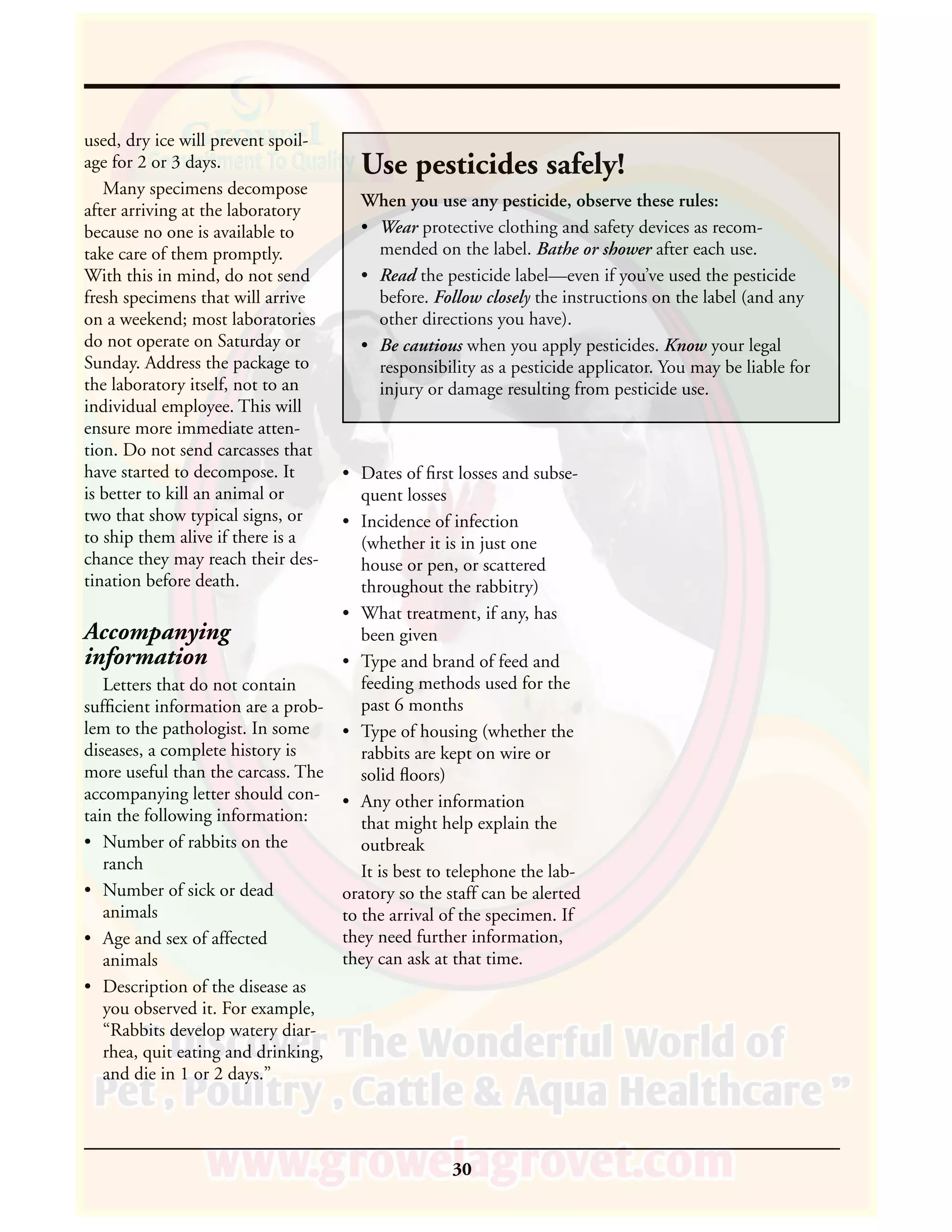 Rabbit Diseases & Parasites | PDF