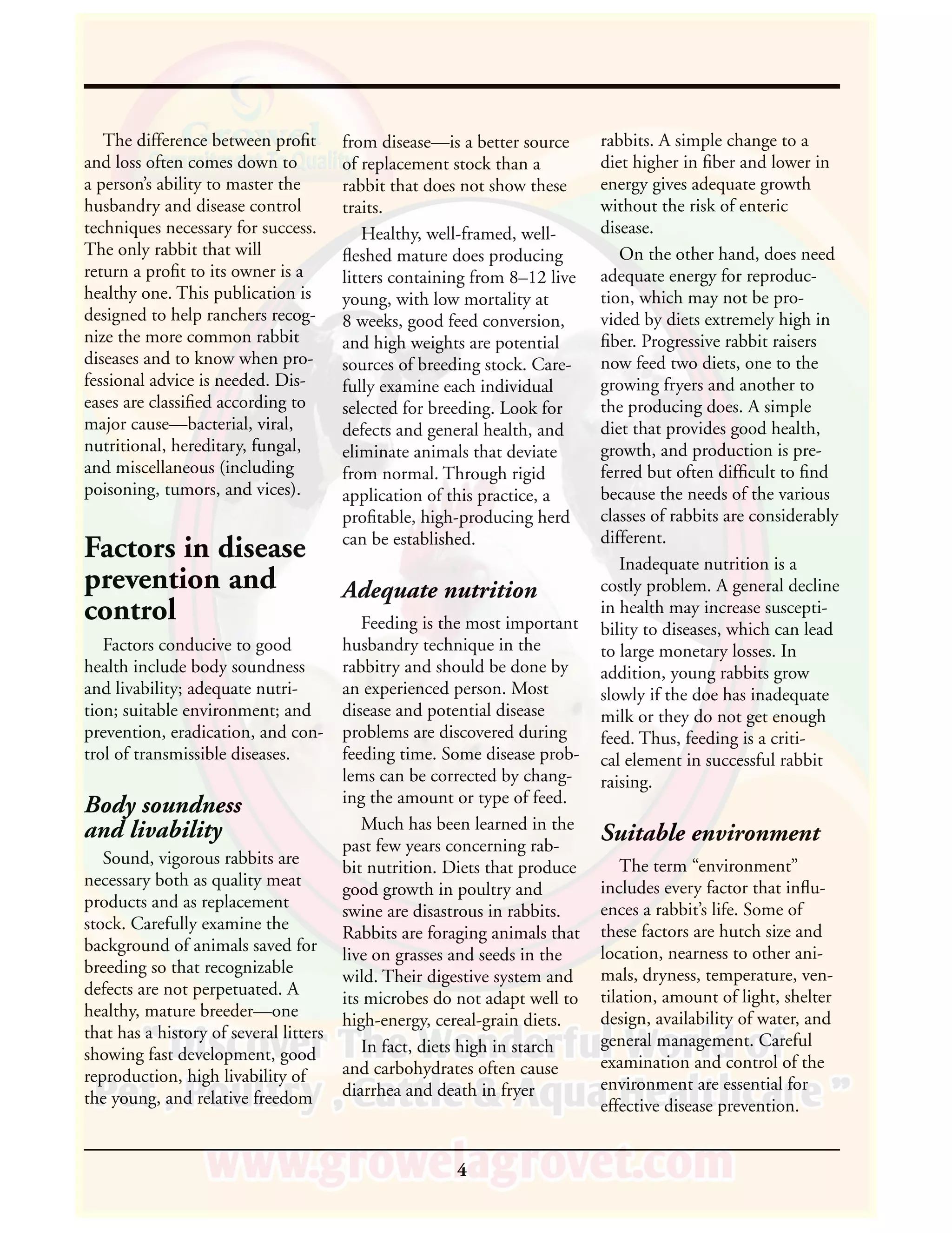 Rabbit Diseases & Parasites | PDF