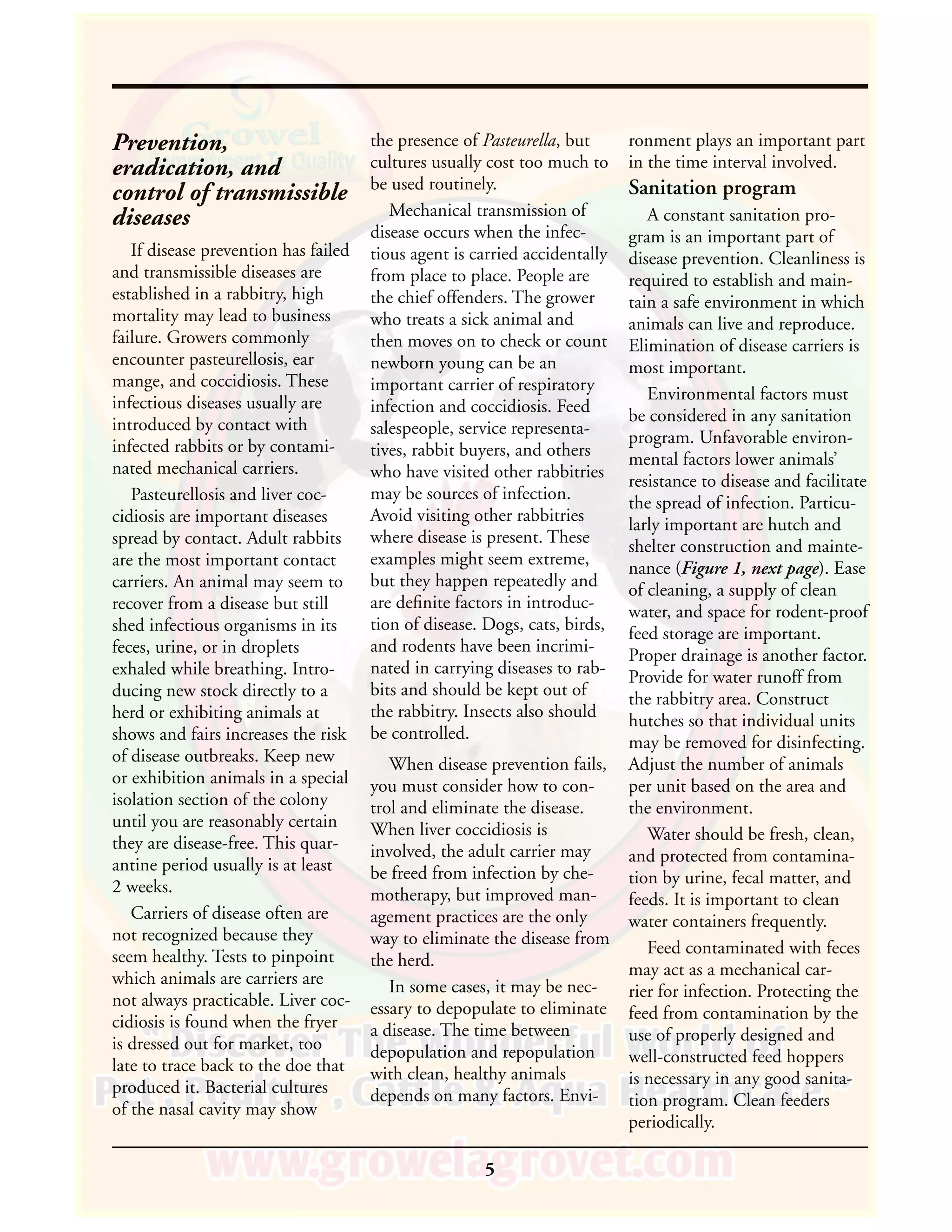 Rabbit Diseases & Parasites | PDF