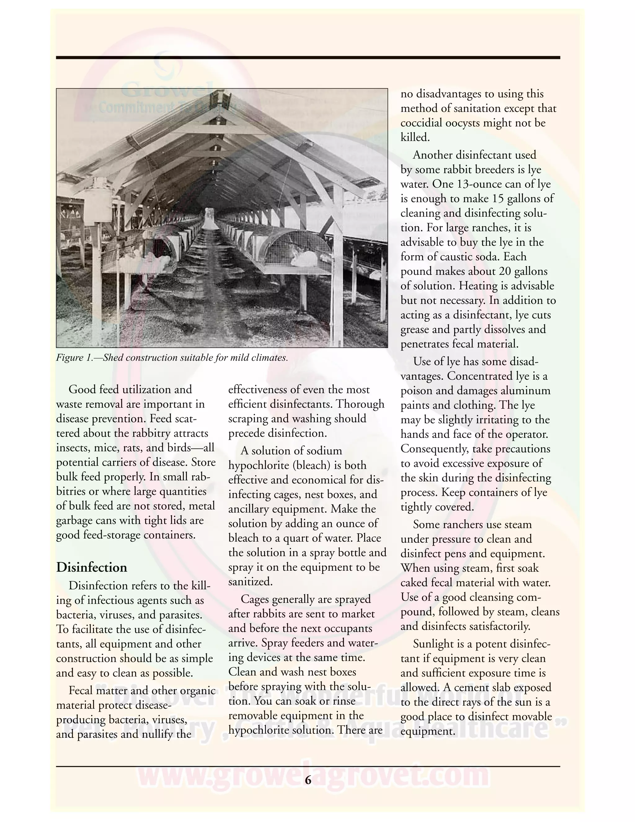 Rabbit Diseases & Parasites | PDF