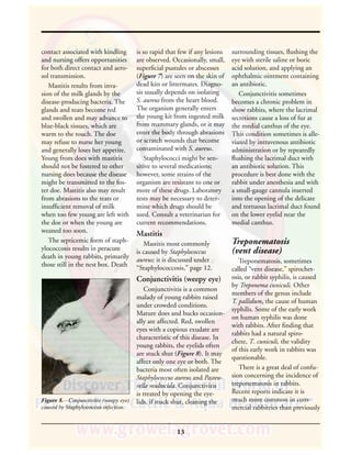 Rabbit Diseases & Parasites | PDF