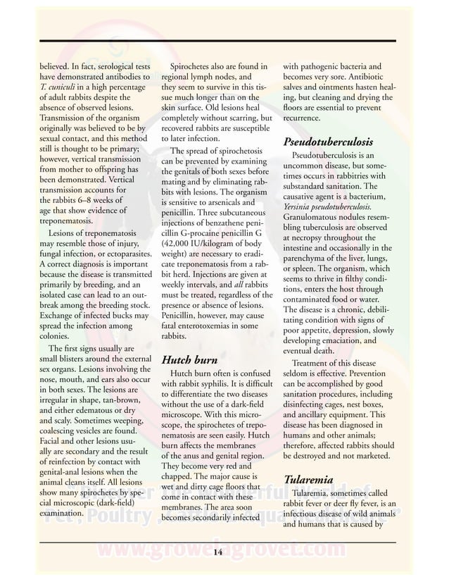 Rabbit Diseases & Parasites | PDF | Infectious Diseases | Diseases and ...