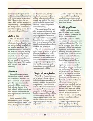 Rabbit Diseases & Parasites | PDF