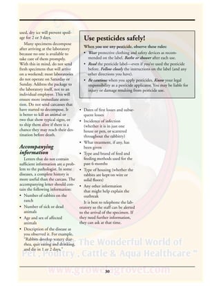 Rabbit Diseases & Parasites | PDF