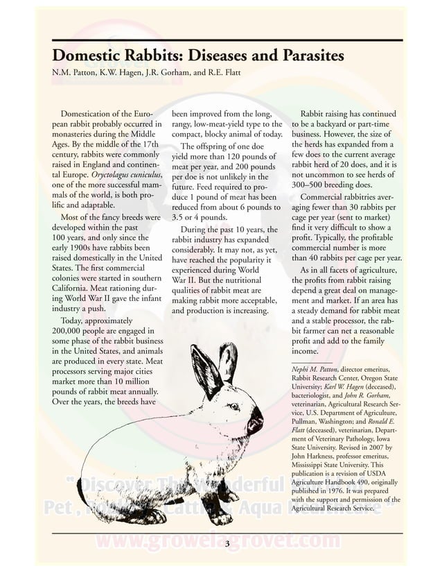Rabbit Diseases & Parasites | PDF | Infectious Diseases | Diseases and ...