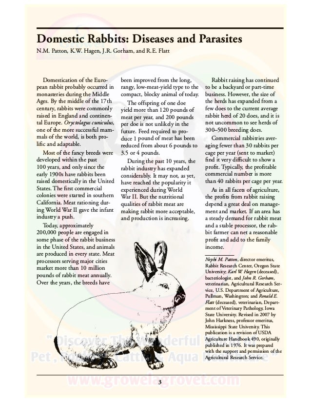 Rabbit Diseases & Parasites
