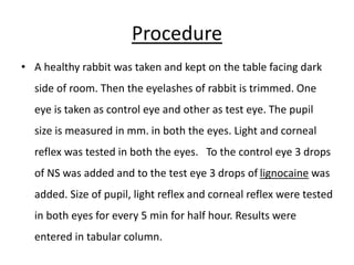 RABBIT EXPERIMENTS.pptx