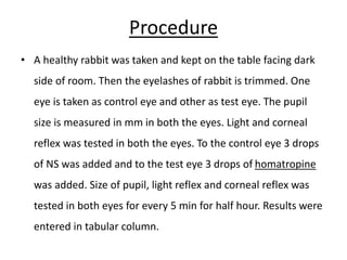 RABBIT EXPERIMENTS.pptx