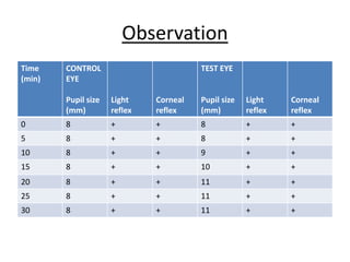 RABBIT EXPERIMENTS.pptx