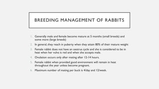 Rabbit farming | PDF