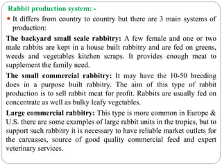 rabbit management rearing pattern, disease prevention,feeding ...