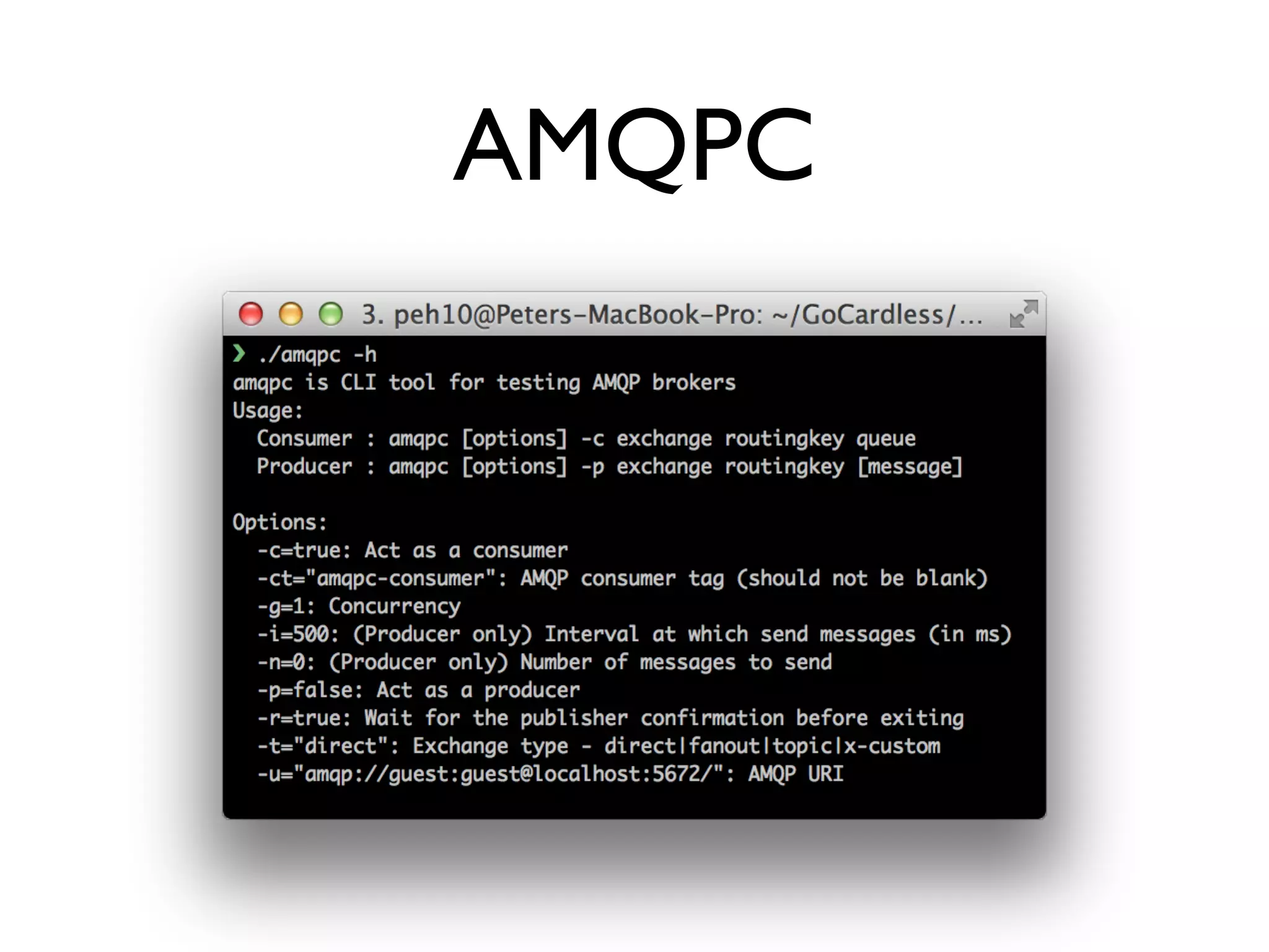 RabbitMQ & Hutch | PDF | Computer Networking | Computing
