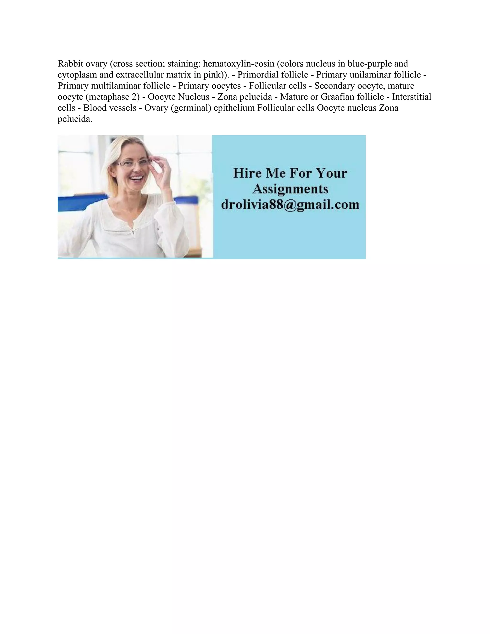 Rabbit ovary (cross section- staining- hematoxylin-eosin (colors nucle.pdf