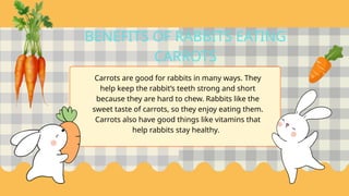 Can Rabbits Eat Carrots? A Healthy Match or a Myth | PPT