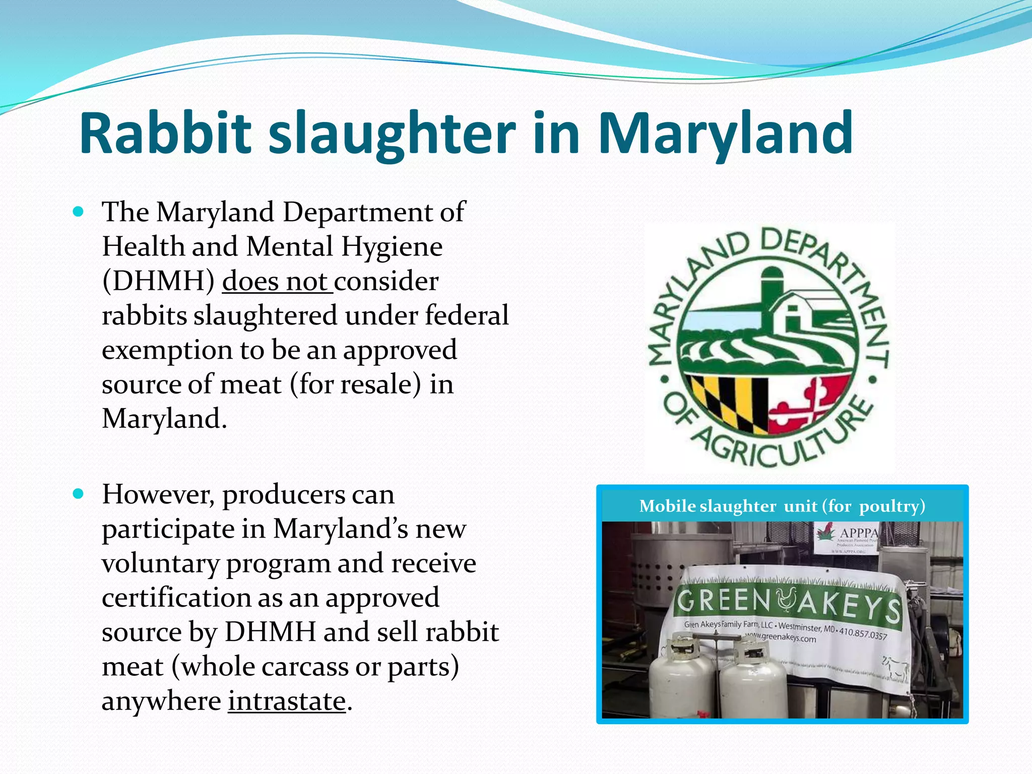 Rabbit production | PPTX