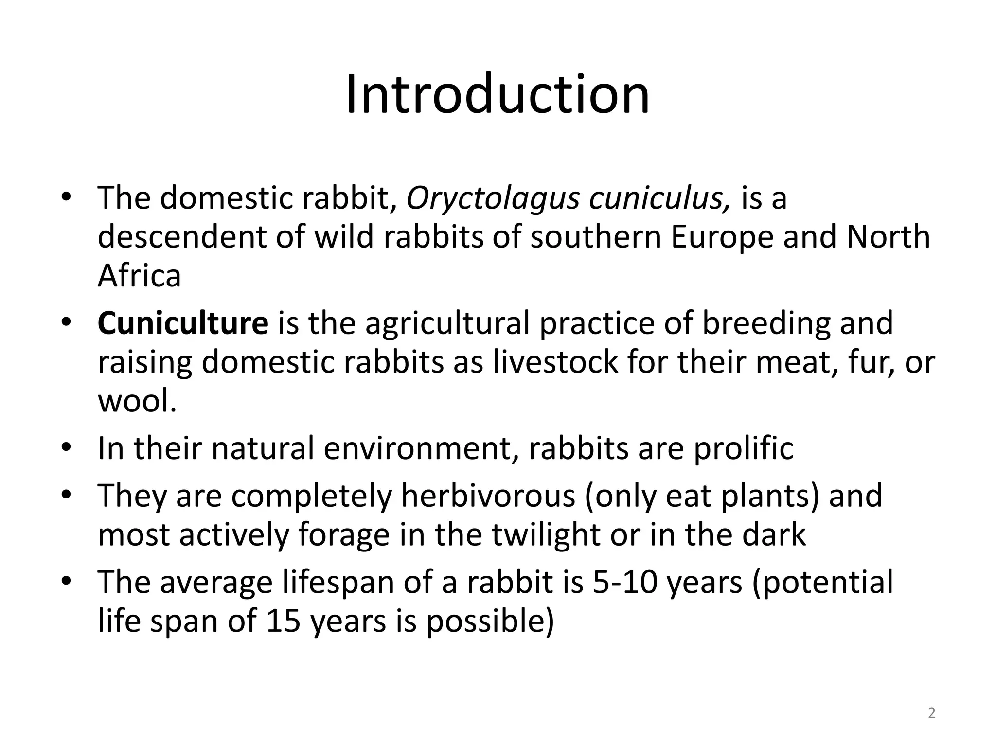 Rabbit_Production_Notes.pptx