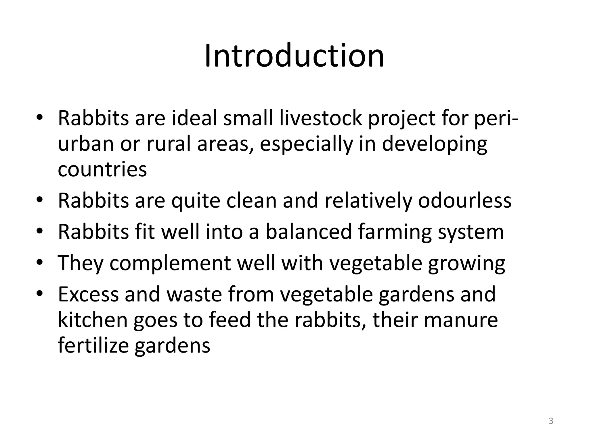 Rabbit_Production_Notes.pptx