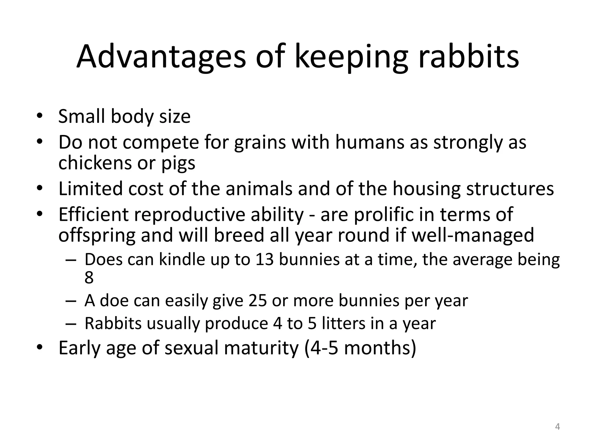 Rabbit_Production_Notes.pptx