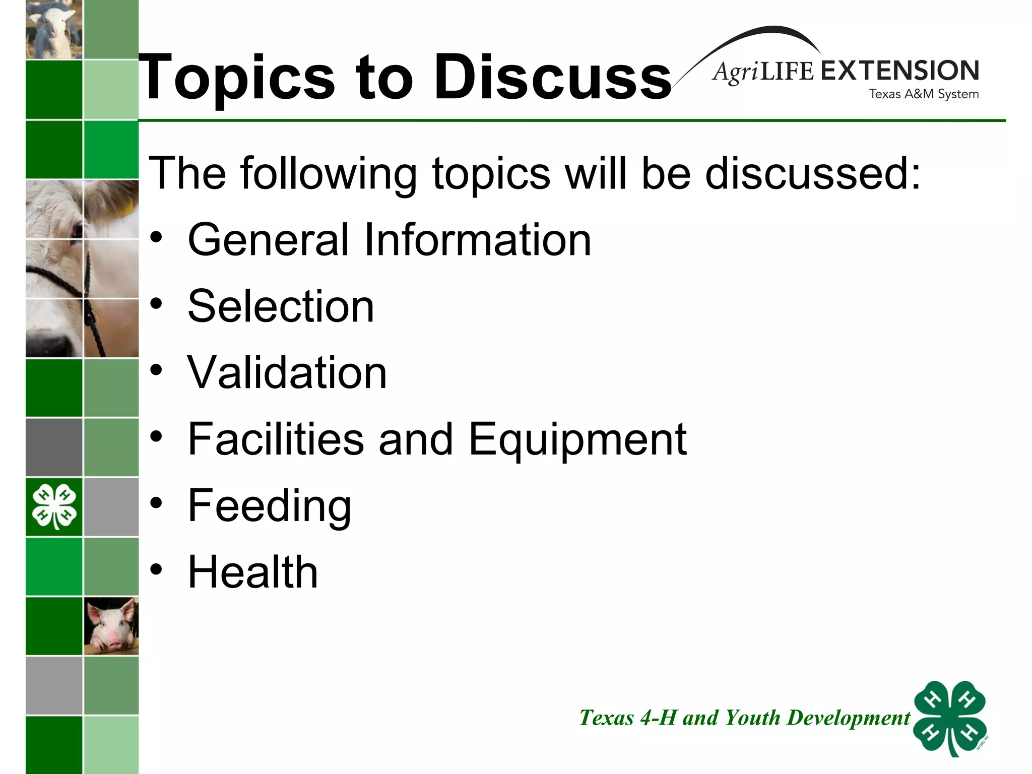 Rabbitprogram Essentials | PPT