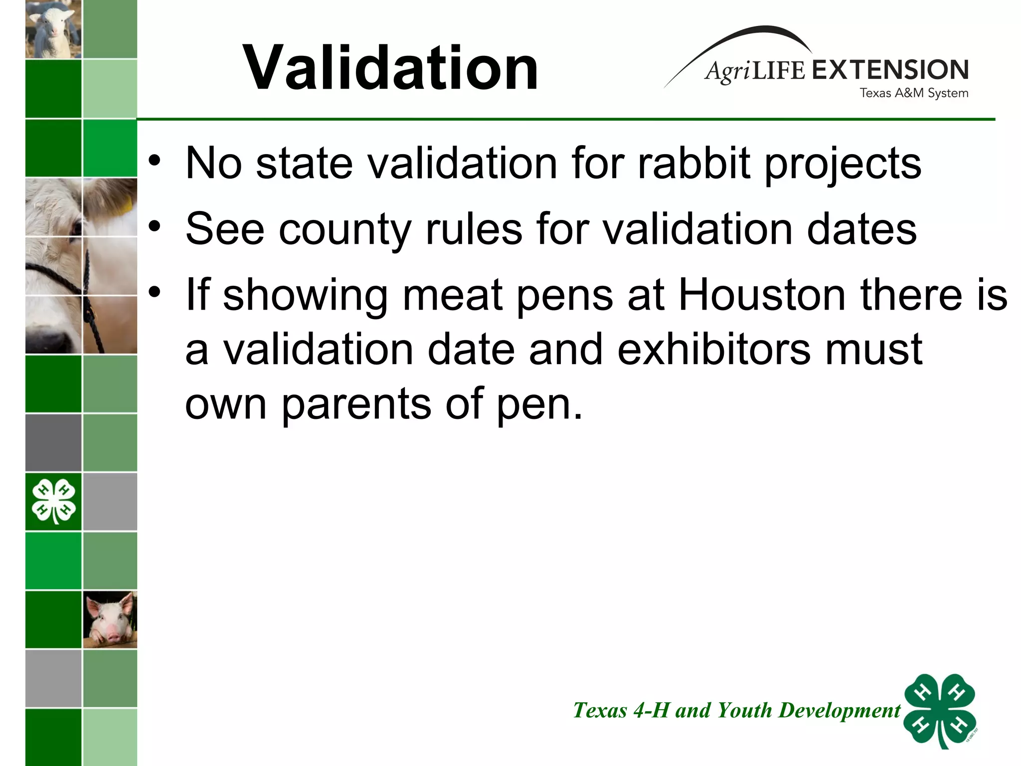 Rabbitprogram Essentials | PPT | Pets