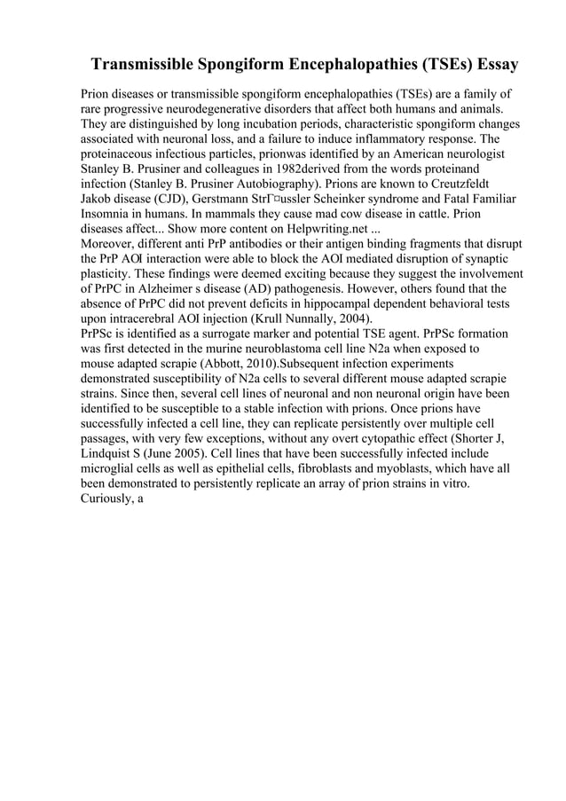 Rabbit Proof Fence Essay. Rabbit Proof Fence Teaching Resources | PDF