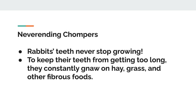 Rabbit Rhapsody! Fun Facts About Our Fuzzy Burrowers.pdf