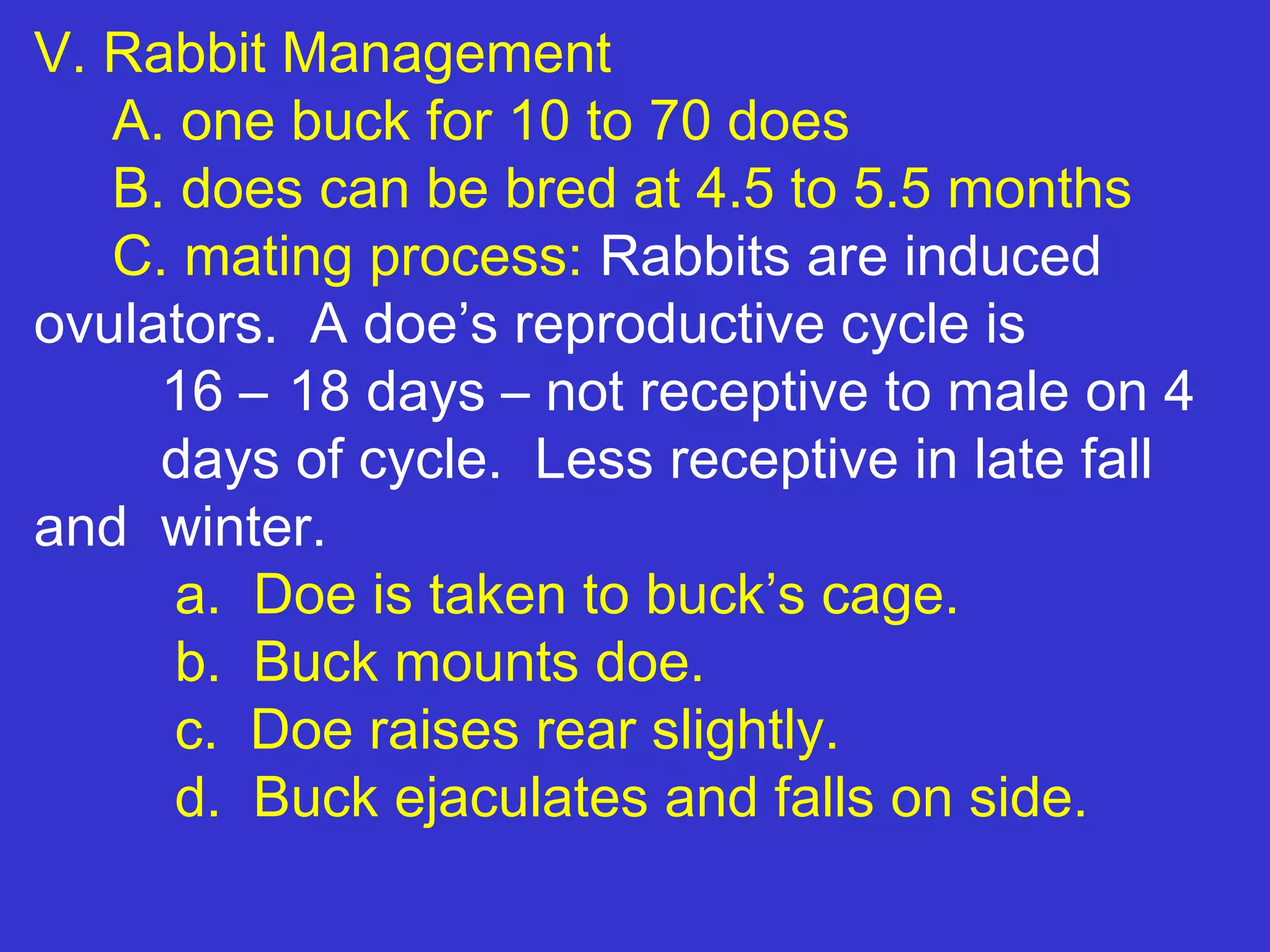 Rabbits | PPT