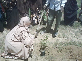 Al Baraka Eno tree planting | PDF