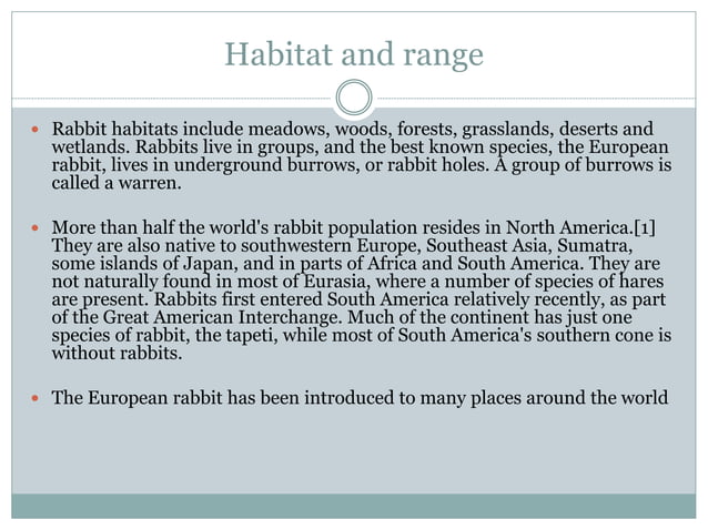 Rabbits | PPTX | Biological Sciences | Science