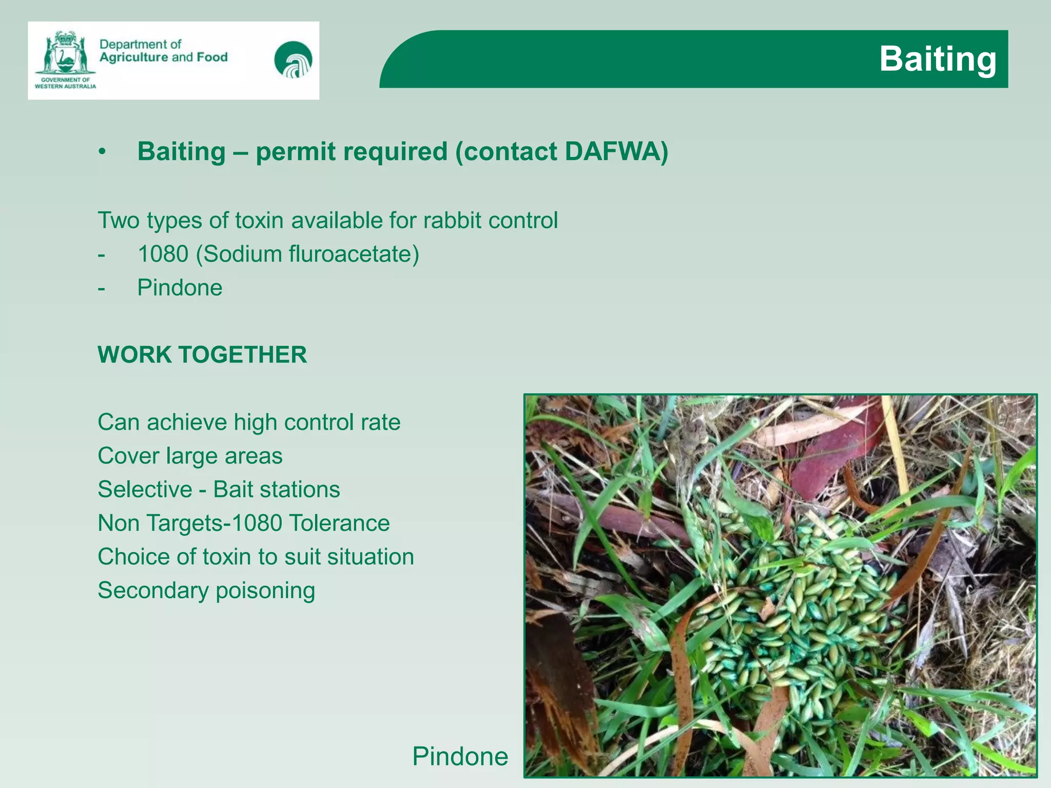 Rabbits Destructive Pests of Agriculture and the Environment | PDF