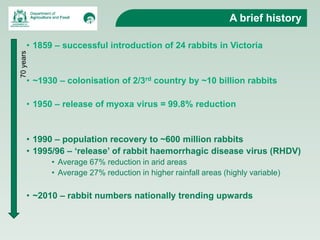 Rabbits Destructive Pests of Agriculture and the Environment | PDF