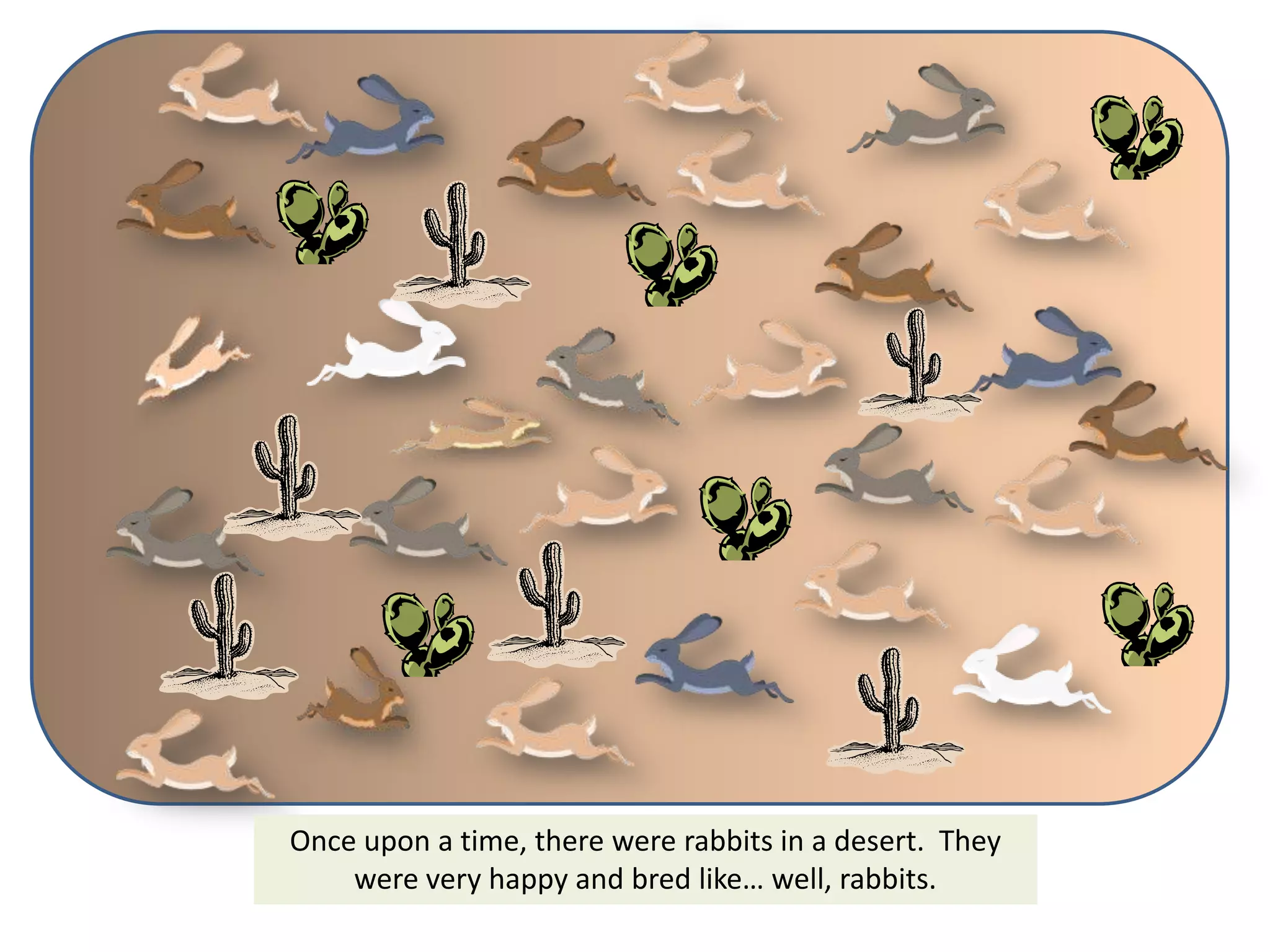 Rabbits an example of evolution 1 | PPTX